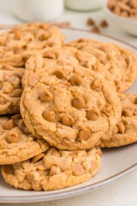 Butterscotch Pudding Cookies - Semi Homemade Kitchen