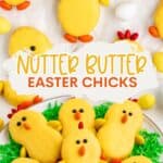 Easy Nutter Butter Chicks - Semi Homemade Kitchen